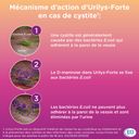 Urilys-Forte | Cystite & Infection Urinaire 14 pc(s) - Farmaline