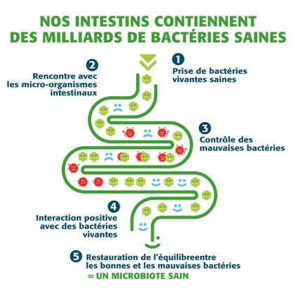 Bactiol® Complete 30 pc(s) - Farmaline