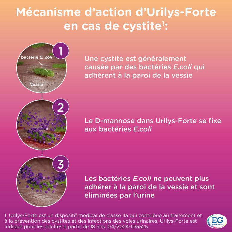 Urilys-Forte | Cystite & Infection Urinaire 14 pc(s) - Farmaline