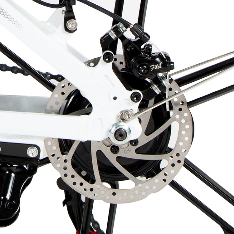 SAMEBIKE 20LVXD30-II Opvouwbare elektrische bromfiets, 48V 10AH accu 1 ...
