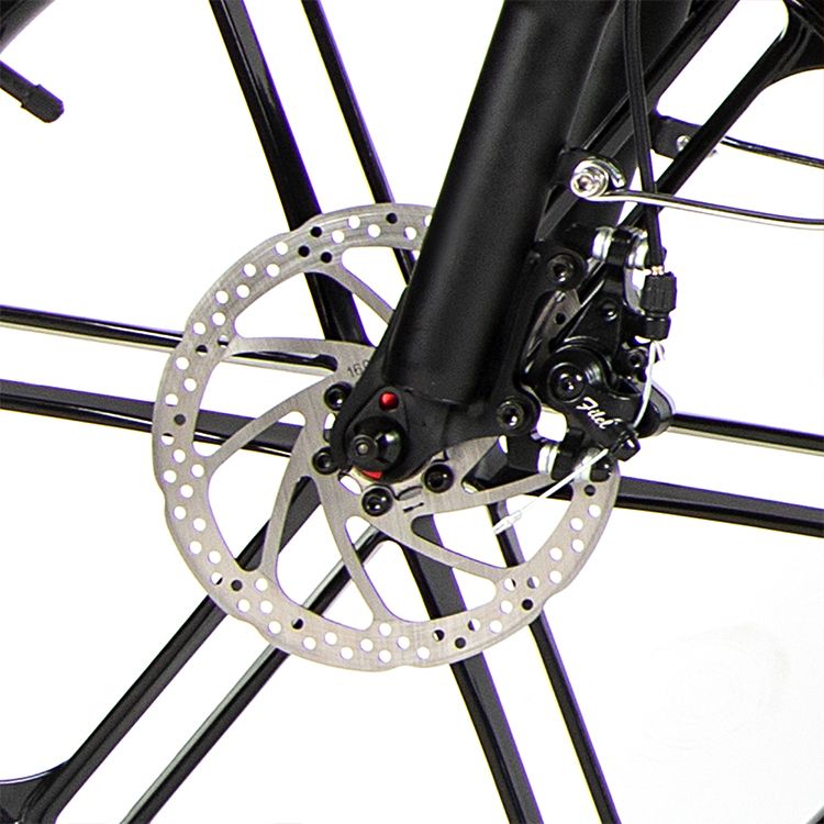 SAMEBIKE 20LVXD30-II Opvouwbare elektrische bromfiets, 48V 10AH accu 1 ...
